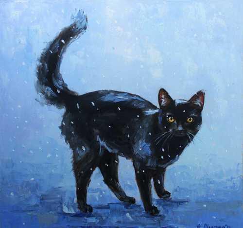 Картина маслом"Черный кот на зимней прогулке"50-50