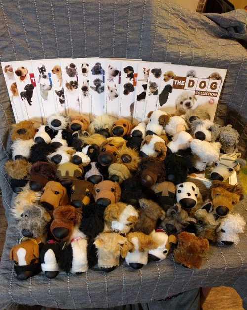 The dog collection