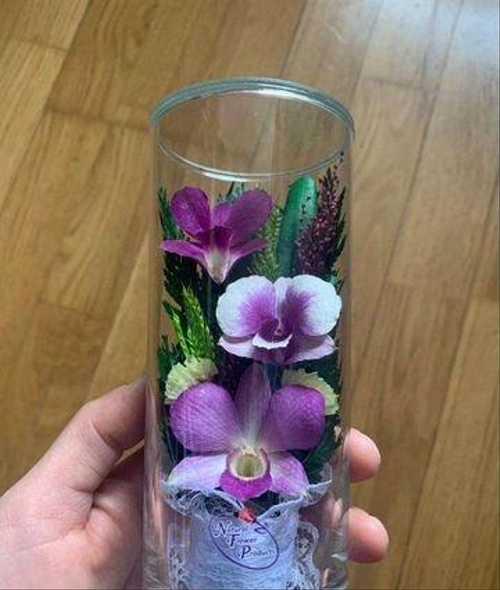 Natural Flowers Products цветы в стекле оригинал