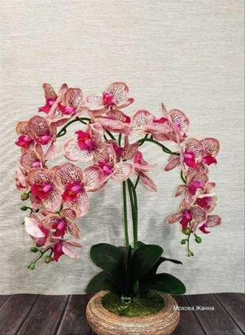 Интерьерная орхидея (листайте фото)