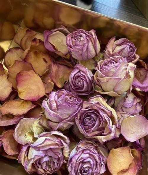 Сухоцветы Розы Сушеные Лепестки роз