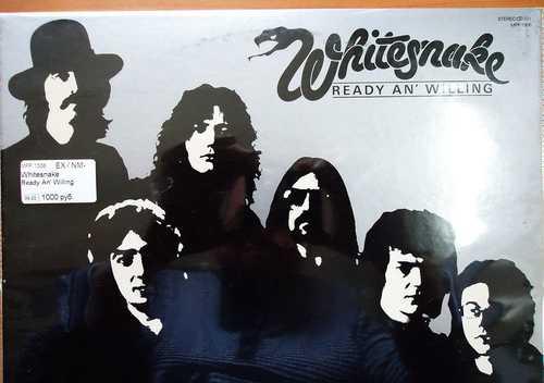 LP Whitesnake