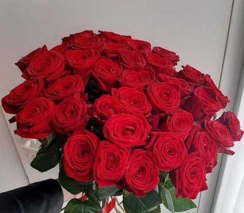 Цветы розы Букет Роз