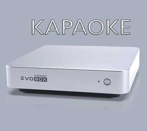 Караоке Evobox Plus Silver