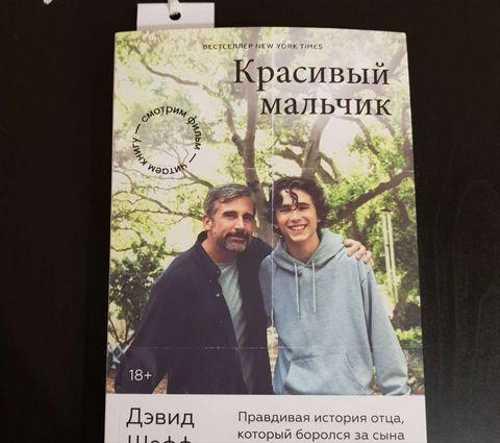 Книга "Красивый мальчик" Дэвид Шефф