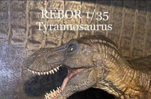 1 35 Tirannosaurus Rebor