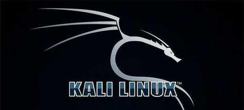 Флешка Tails OS Kali Linux WinPE