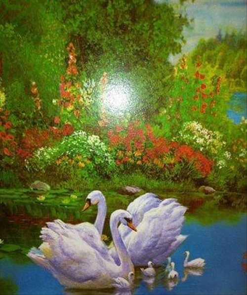 Картина лебеди на пруду 57х47
