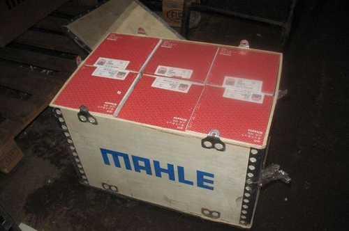 Поршневая группа Mahle WP10 WD615 WD10