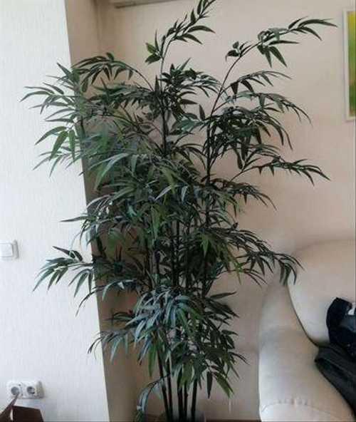 Искусственное растение бамбук