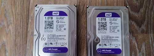 Hdd 3.5 Western Digital WD10purx 1tb