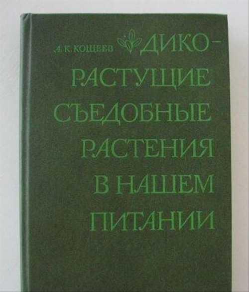 Дикорастущие съедобные растения в нашем питании