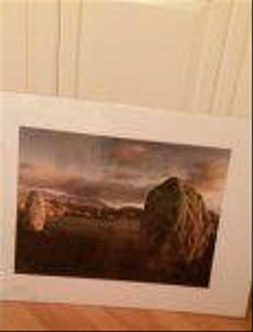 Постер 70*100 икеа природа (новый в упаковке)