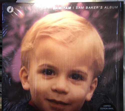 Samiyam Sam Baker's Album vinyl x 2