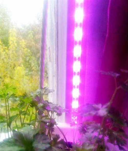 Фитолента для растений