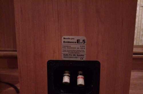 Audio Pro Evidence E5