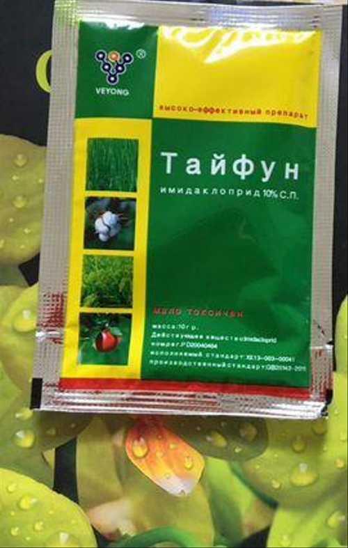 Тайфун
