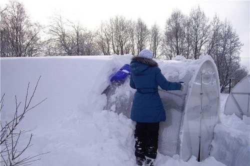 Теплица антиснег