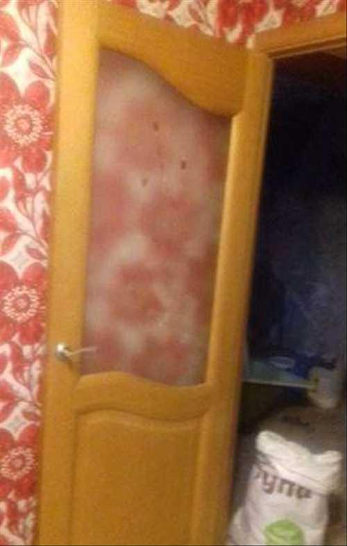 Дверь из натурального шпона