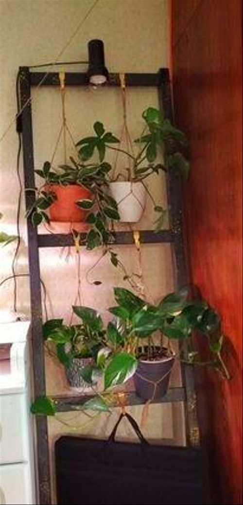 Крутейшая подставка для растений