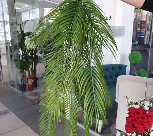 Ветка пальмы свисающая 95 см