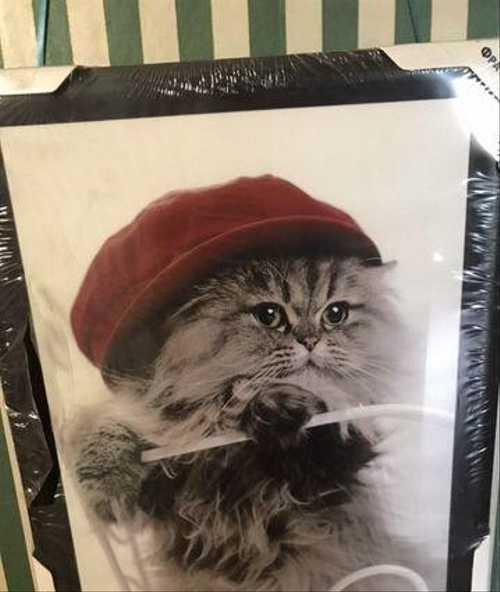 Постер в раме 40*50 «Кот в шляпе» Венеция