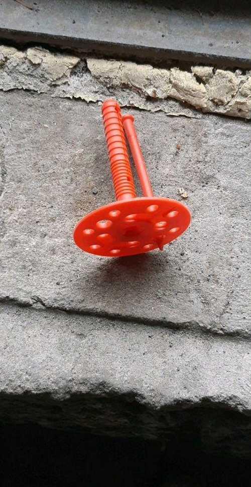 Грибки строительные