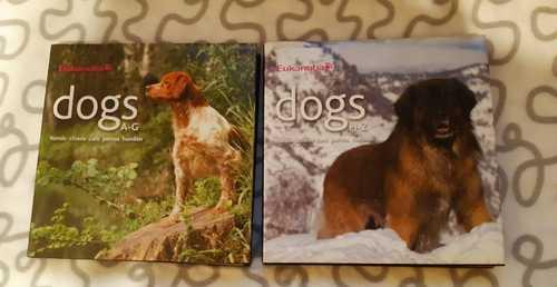 Каталог пород собак dogs