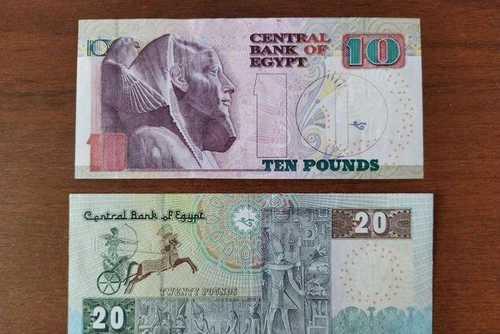 100 фунтов египетских фото