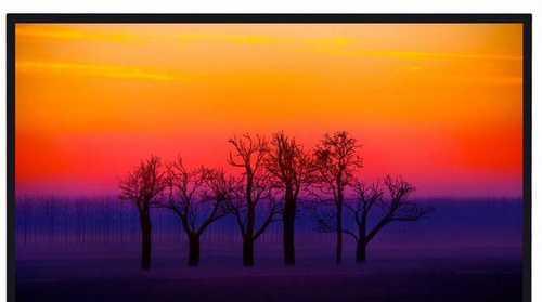 Телевизор oled 55" (139 см) LG oled55B8