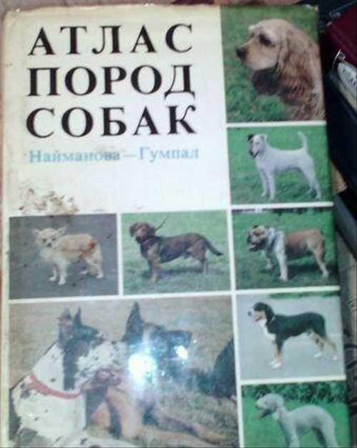 Атлас собак. Атлас-определитель от земли породы собак. Атлас от земли до неба породы собак. Атлас определитель собак. Атлас пород собак СССР.