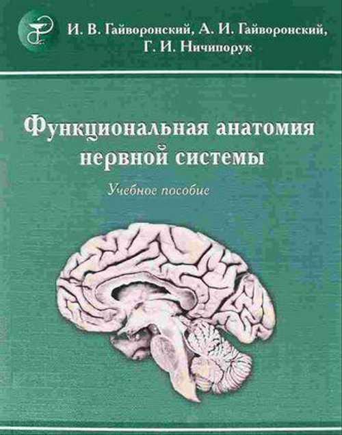 Функциональная анатомия нервной системы