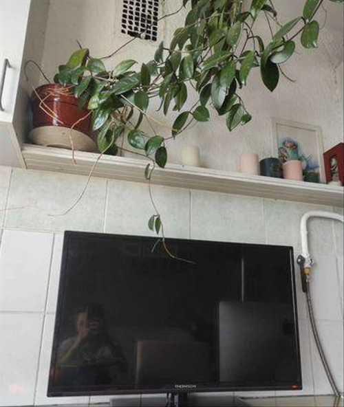 Телевизор thomson T39ED33HU