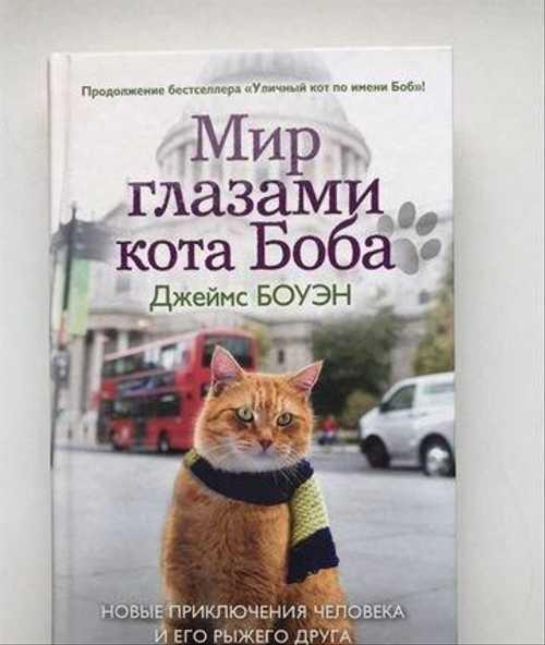 Книга глазами кота. Мир глазами кота Боба книга. Мир глазами кота.