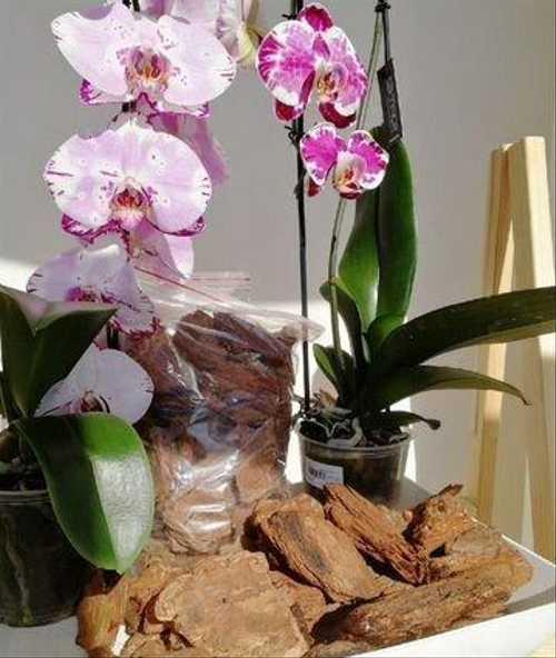 Кора для орхидей