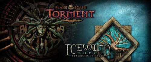 Комплект: (New) Icewind Dale (PS4, русская версия)