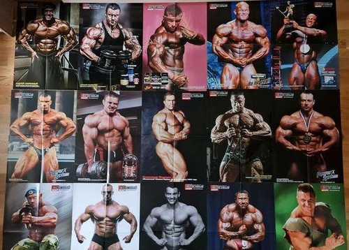 Постеры Железный Мир Bodybuilding & Fitness