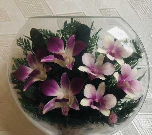 Орхидеи в стекле