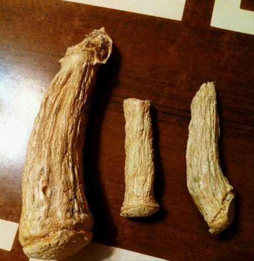 Веточки тыквы для рукоделия