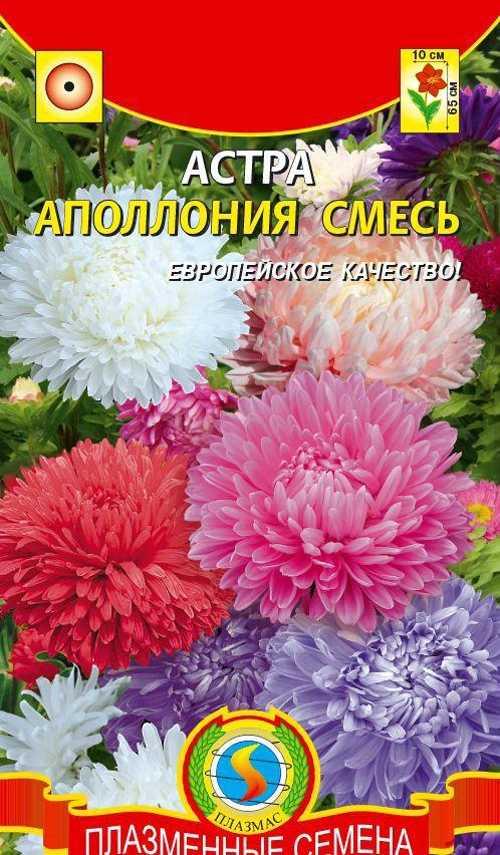 Рассада астры смесь окрасок