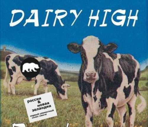 Dairy High - Evil Lullaby single винил