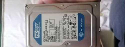 Жесткий диск wb blue 250 gb