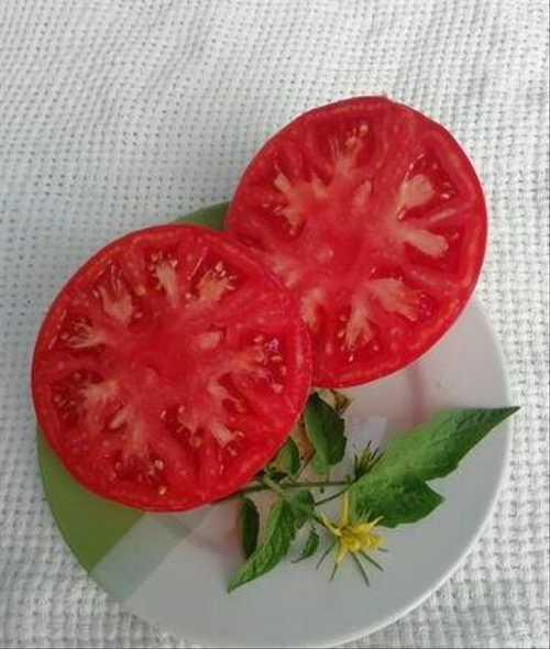 Семена старинного сорта помидор со времен СССР