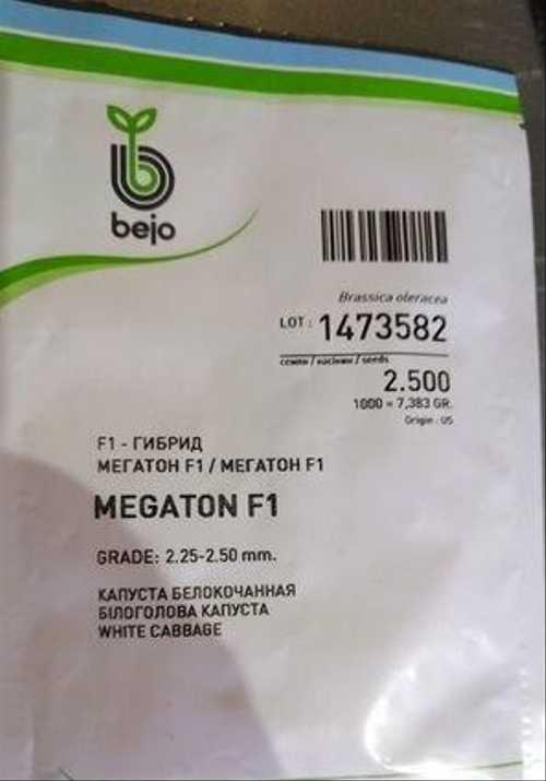 Мегатон F1 семена капусты белокочанной Bejo