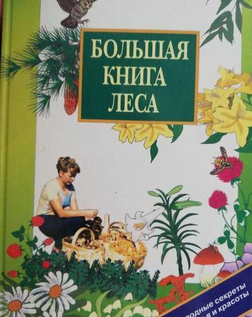 Большая книга леса