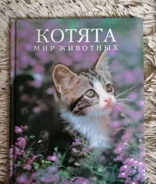 Книга-альбом