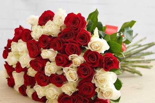 Розы красные и белые 59 шт Крупные Эквадор