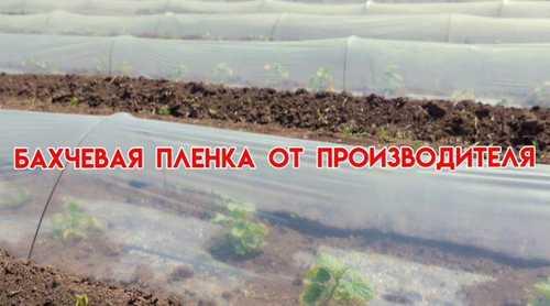 Пленка бахчевая