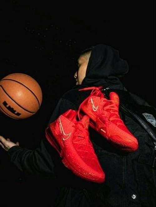 Баскетбольные кроссовки Nike Lebron 17 low