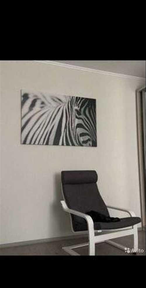 Картина постер с изображением зебры